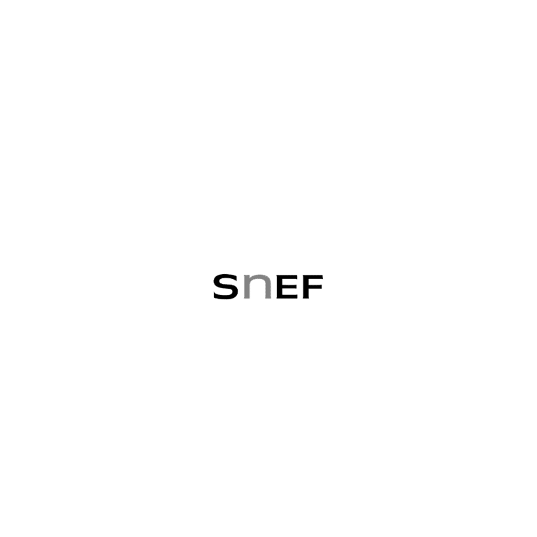 Le Groupe SNEF | ABGi